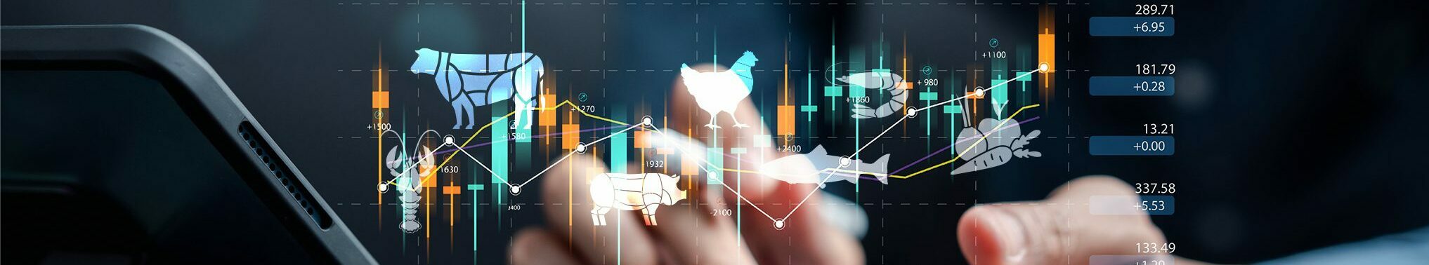 Insights - Brand Points Plus Canada